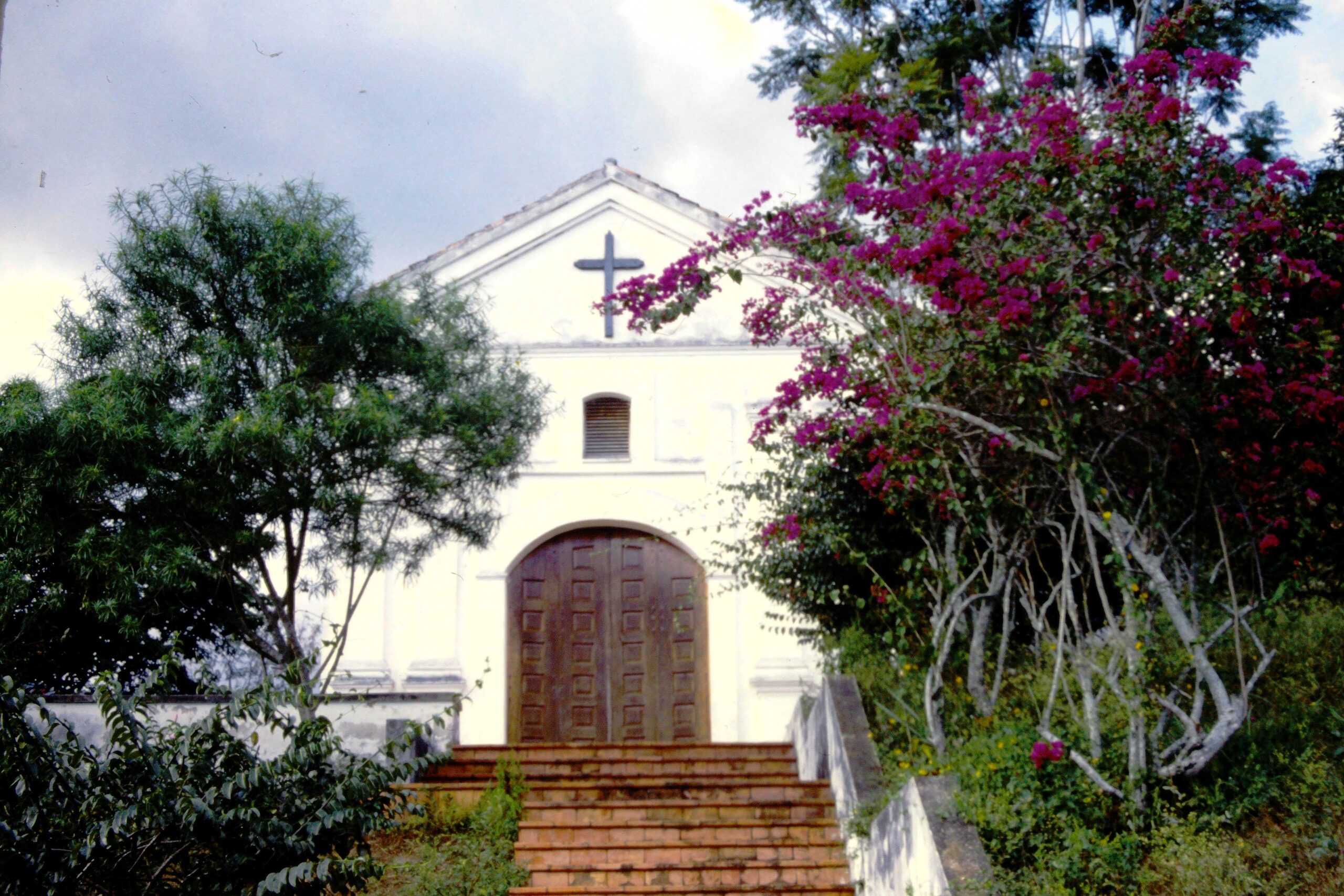 Venezuelan Passage: Montesacro Cafetal and Rockefeller's Estate - Calexis